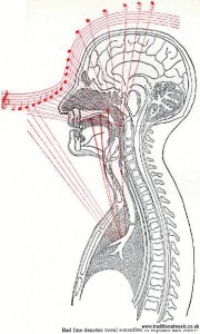 Voice Lesson: The Experience of Sympathetic Resonance - Online and In ...